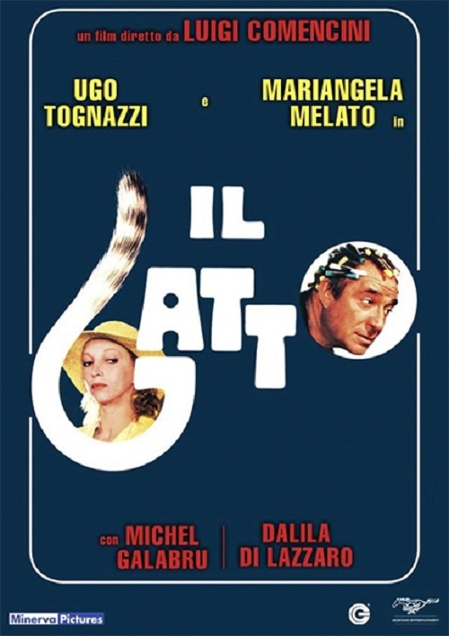 Il Gatto - Cineraglio
